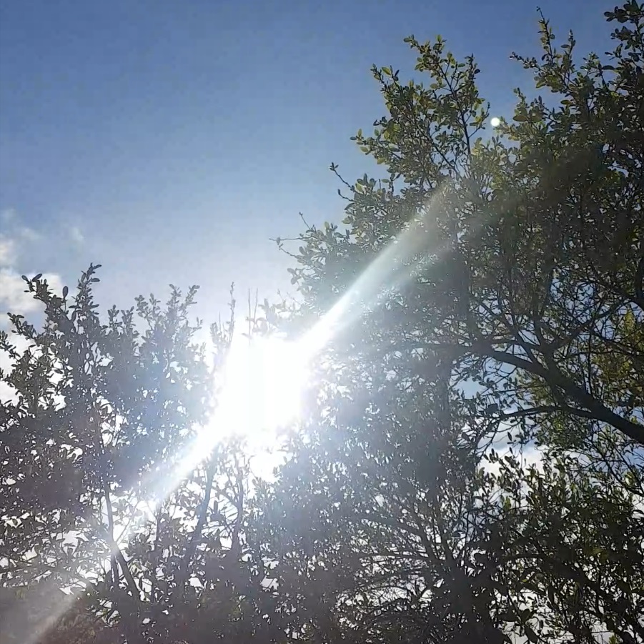 Summer Solstice 2020 | Resounding Power